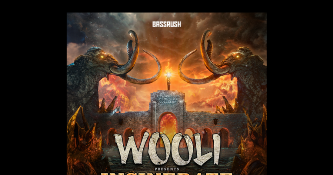 Wooli at Torch 2024